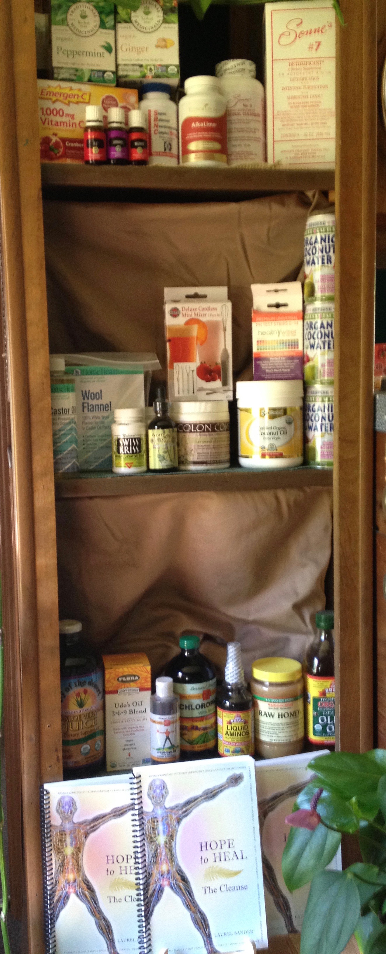 Hope To Heal Home Cleanse Consultations w Dr. Laurel Sander